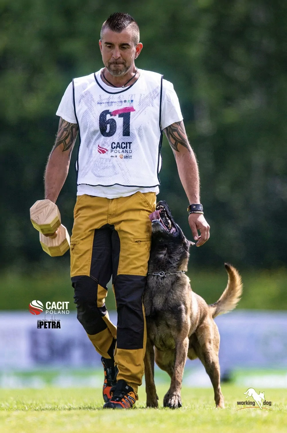 CACIT Golden League - CACIT Germany