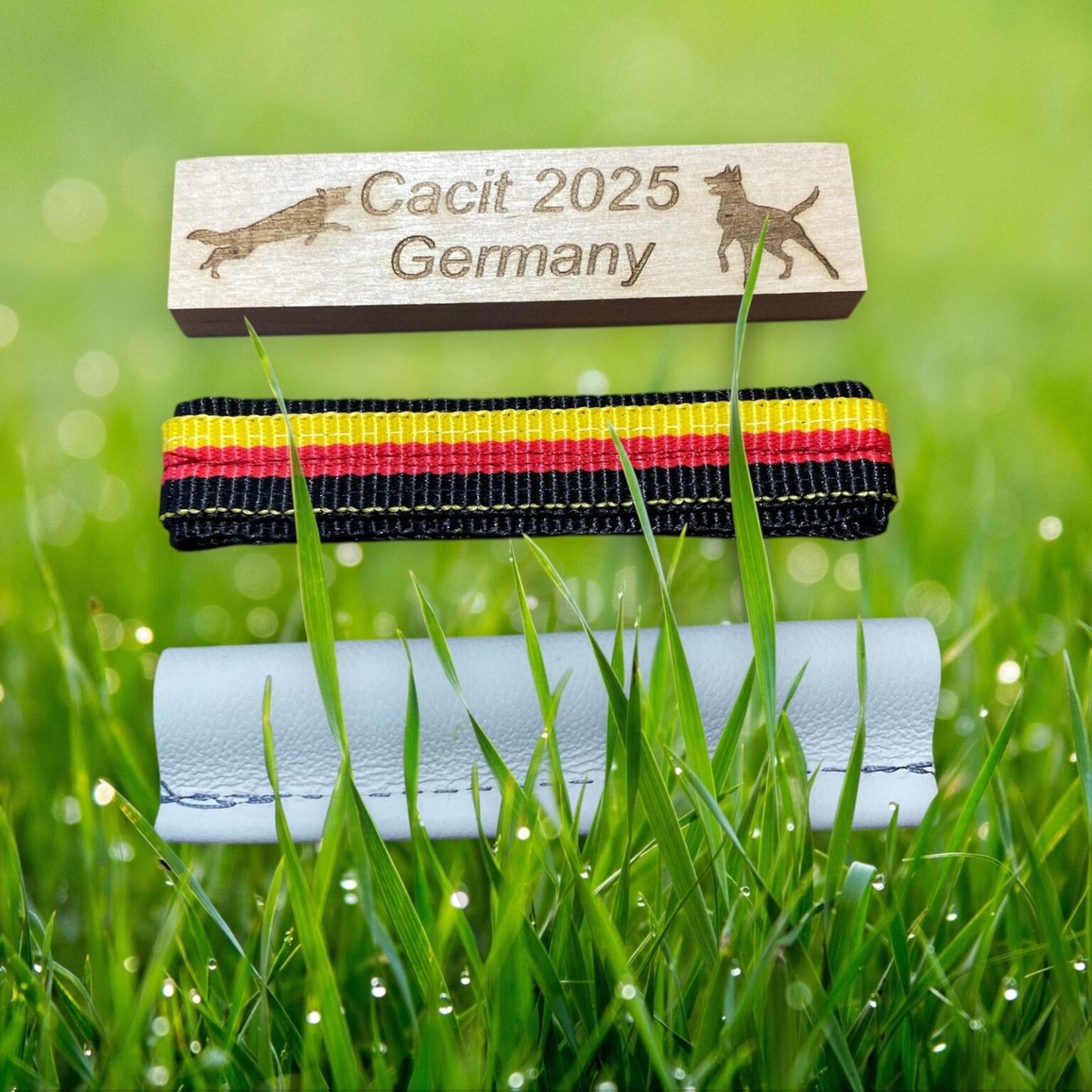 Informationen - CACIT Germany